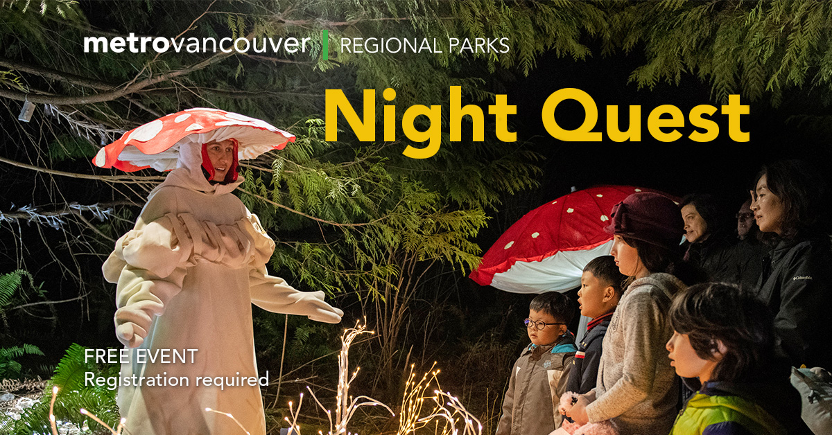 Wander The Trails Through Pacific Spirit Regional Park At Night Quest ...